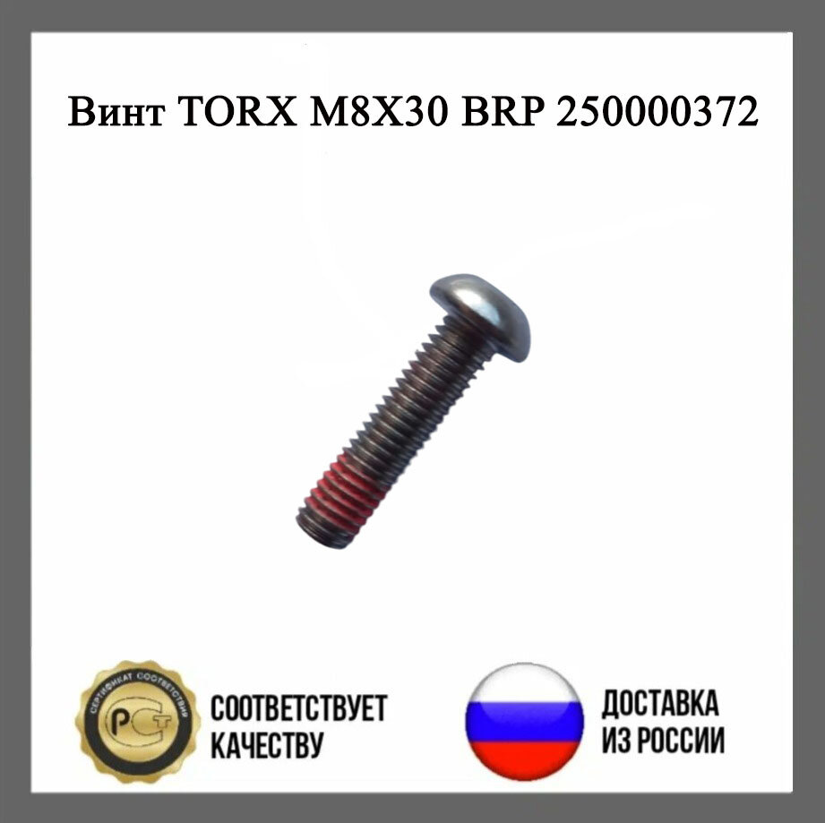 Винт TORX M8X30 BRP 250000372