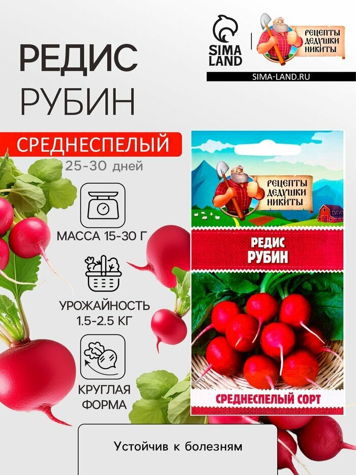 Семена Редис Рубин, 1 г, 2 шт.
