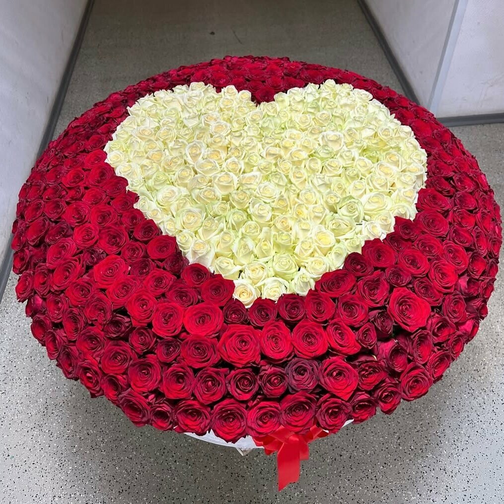 Букет из красных и белых роз 401 шт сердце в коробке, красивый букет цветов, шикарный, премиум цветы, премиум букет