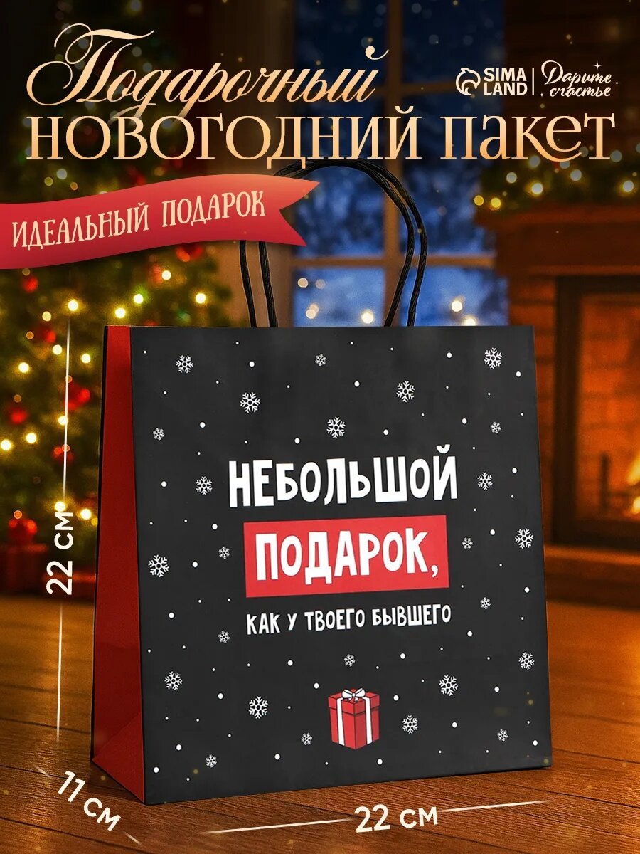 Пакет подарочный «Небольшой подарок», 22 х 22 х 11 см, чёрный, крафтовый, для подарка на Новый год