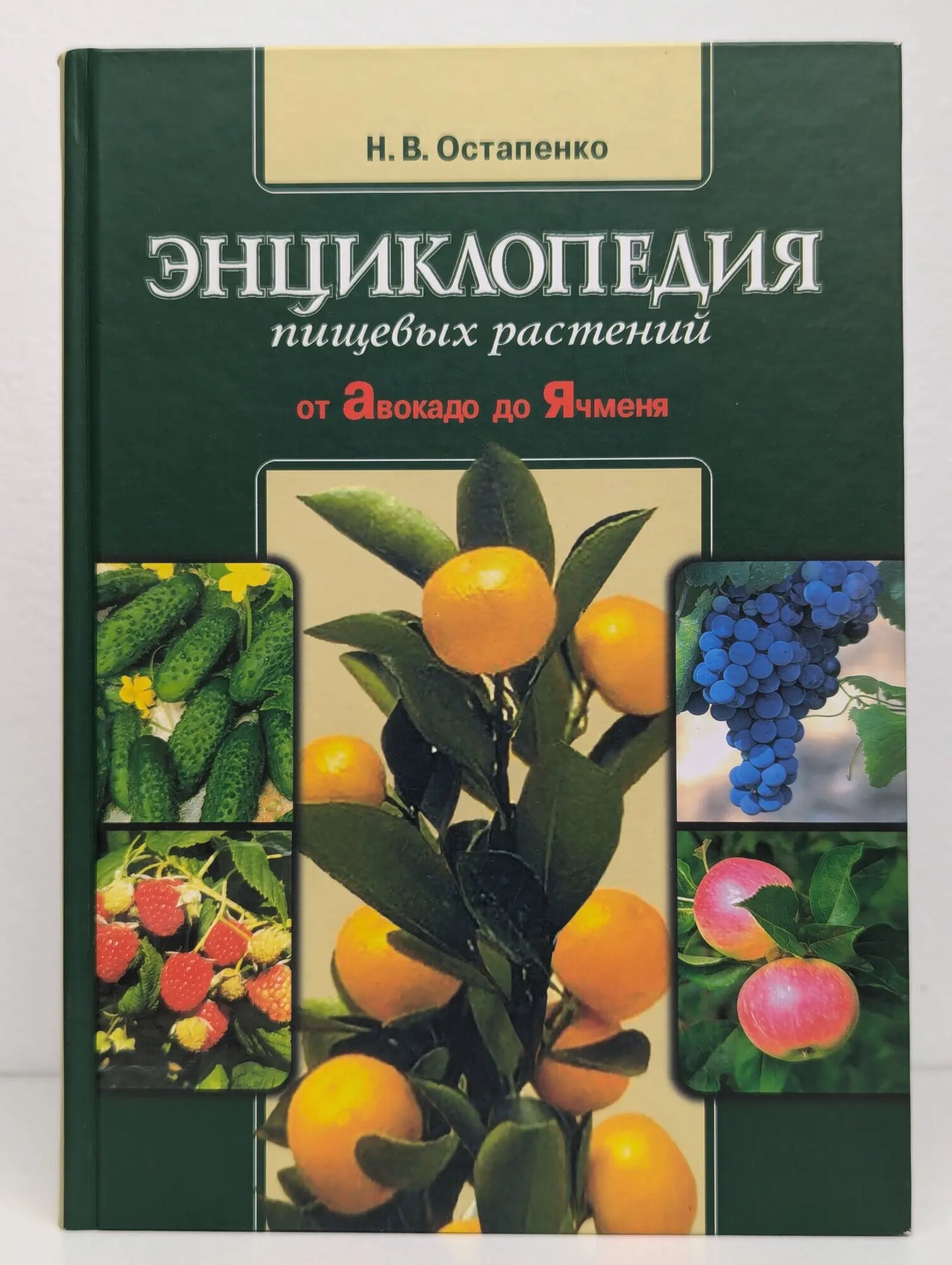 Энциклопедия пищевых растений (от авокадо до ячменя) Остапенко Надежда Викторовна 2006