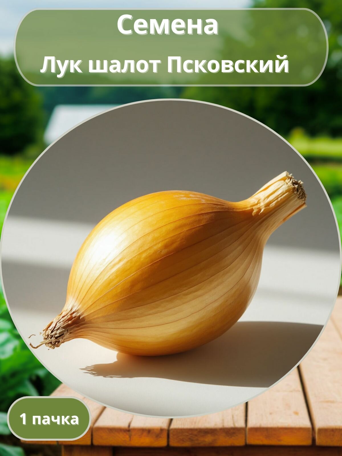 Лук шалот Псковский, семена 10 шт