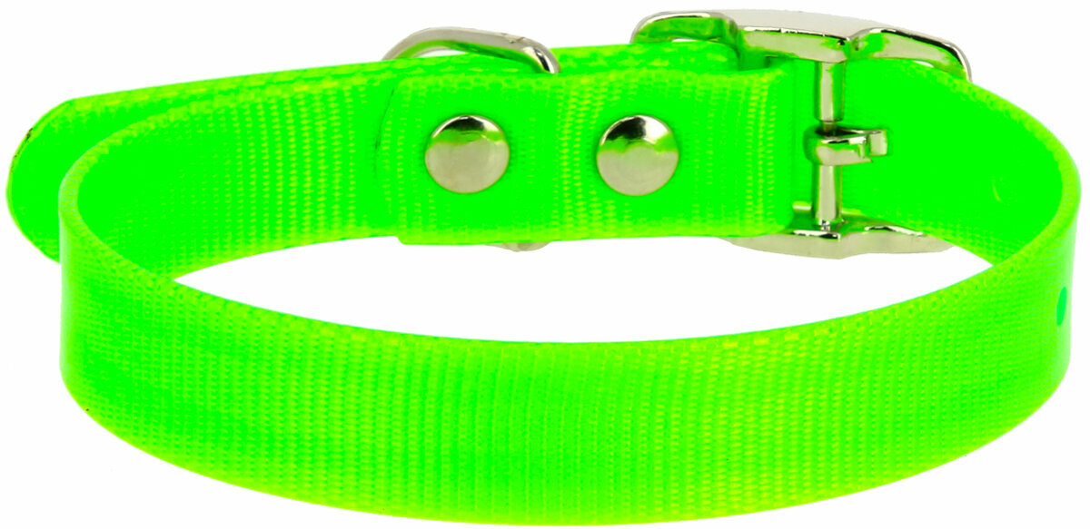 Ошейник для собак Каскад биотан, цвет: зеленый, ширина 12 мм, обхват шеи 20-24 см