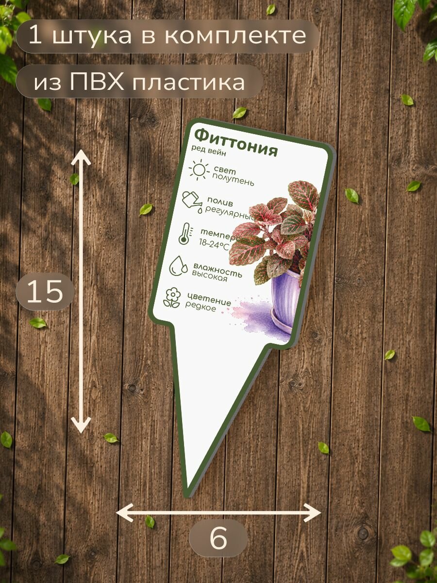 Фигурки для сада Фиттония — фото 1