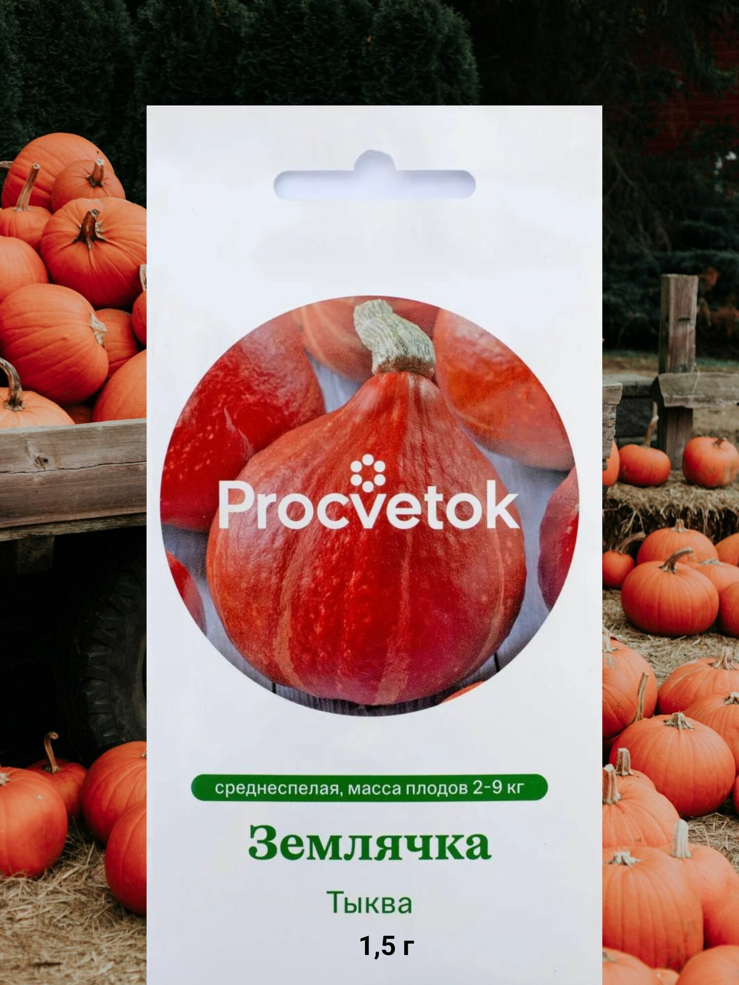 Семена Тыква землячка 1,5г, Процветок