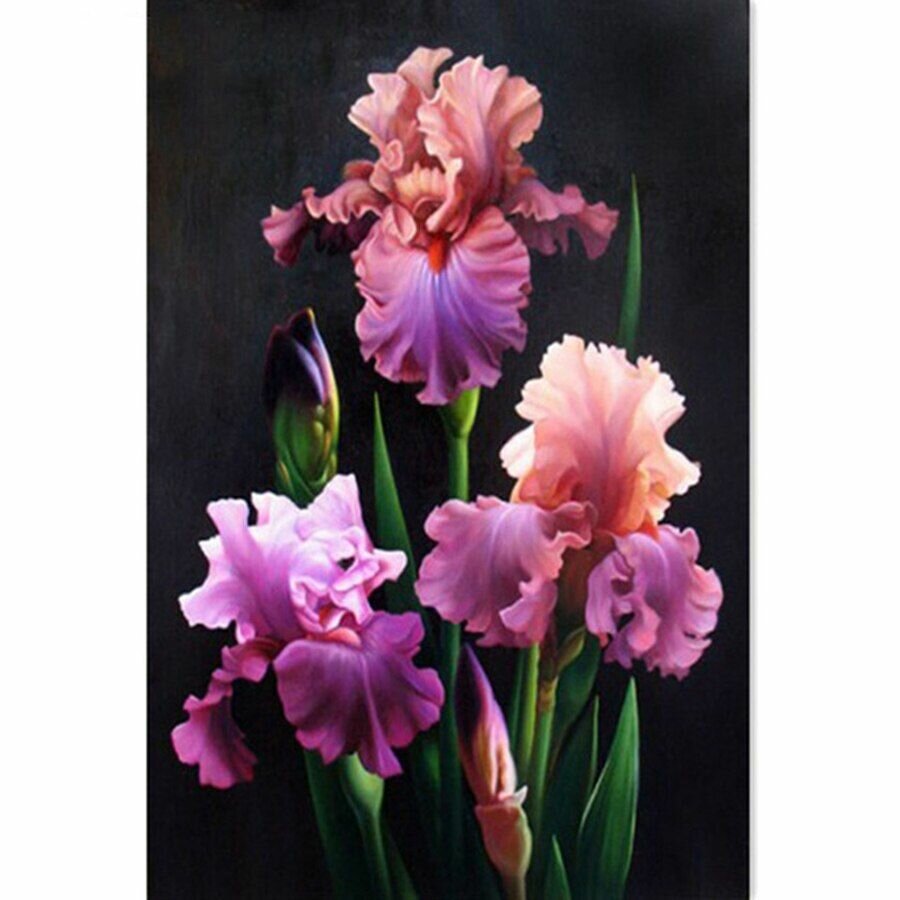 Алмазная мозаика набор Ирисы 30x40 см, полная выкладка круглыми стразами 2,8 мм, творческий набор для взрослых и подростков, расслабляющее хобби и оригинальный подарок