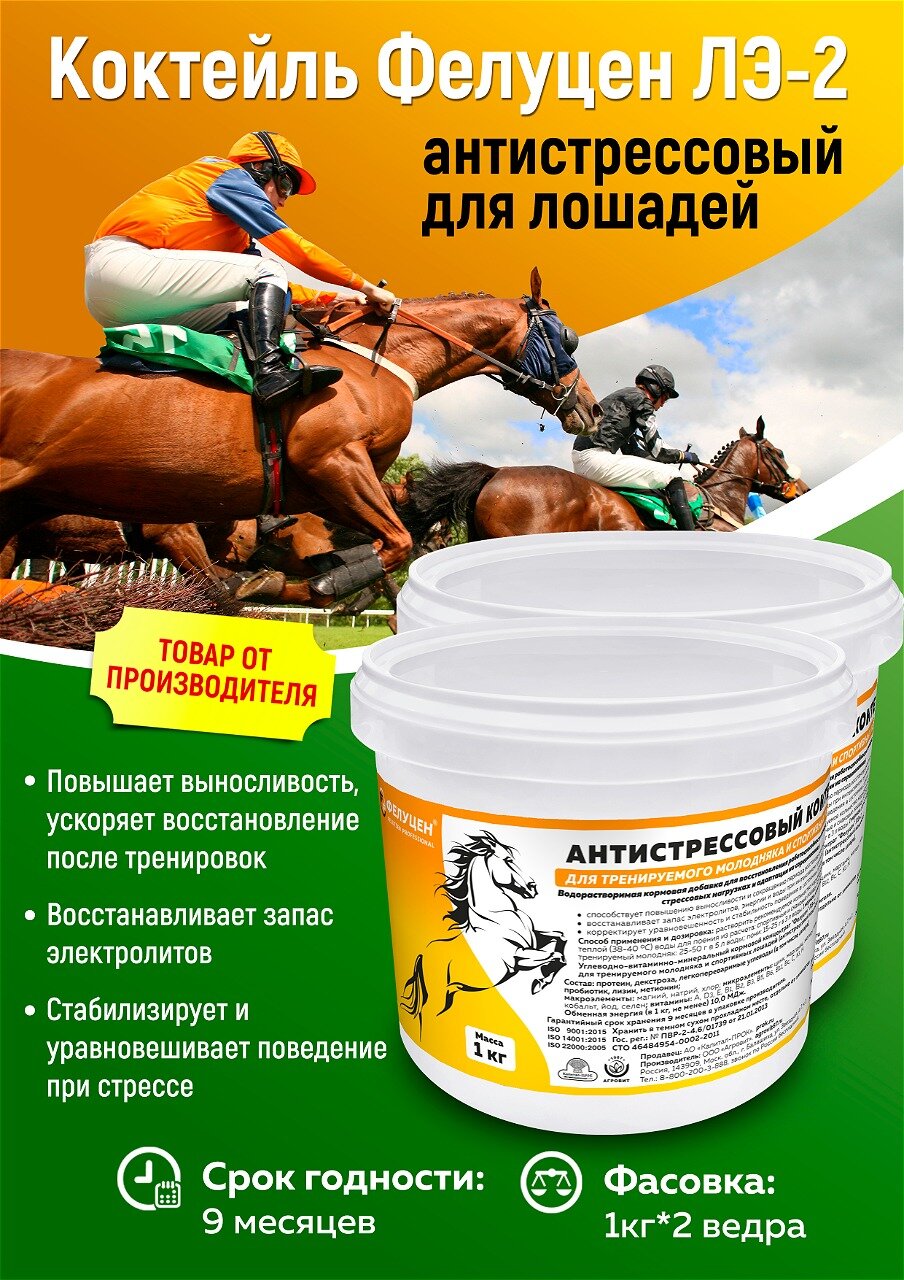 Комплект Фелуцен коктейль для лошадей антистрессовый, 1 кг 2 штуки