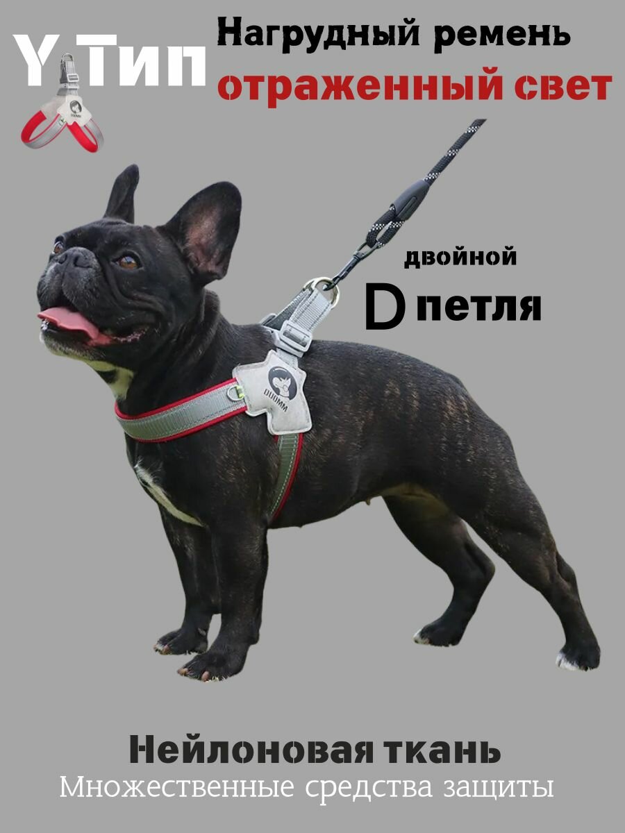 Y-образный поводок антирывковый, шлейка для собак, для французских бульдогов, мелких и средних пород красный размер M