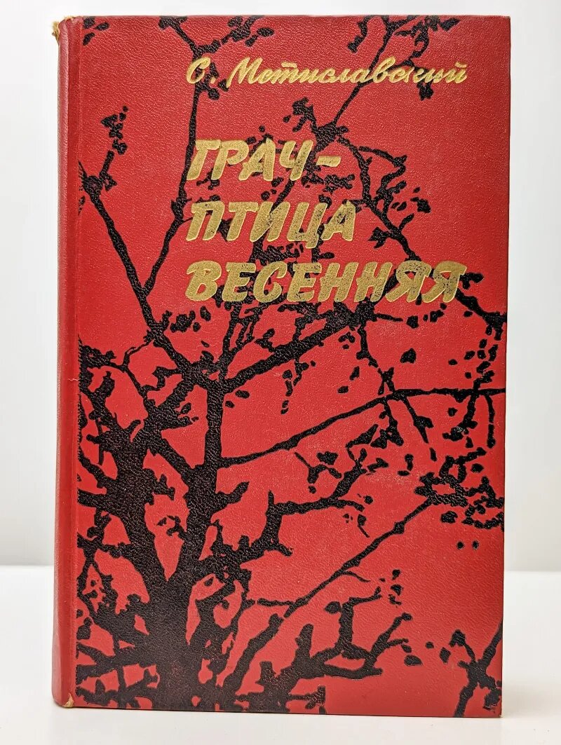 Грач птица весенняя