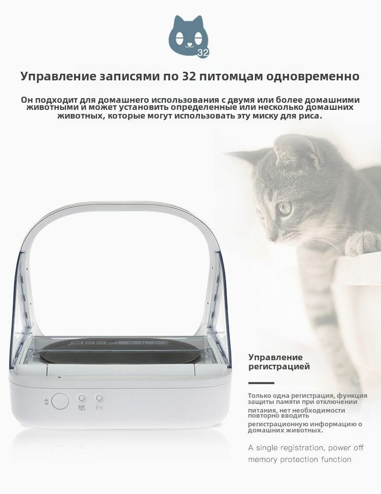 Автокормушка — фото 1