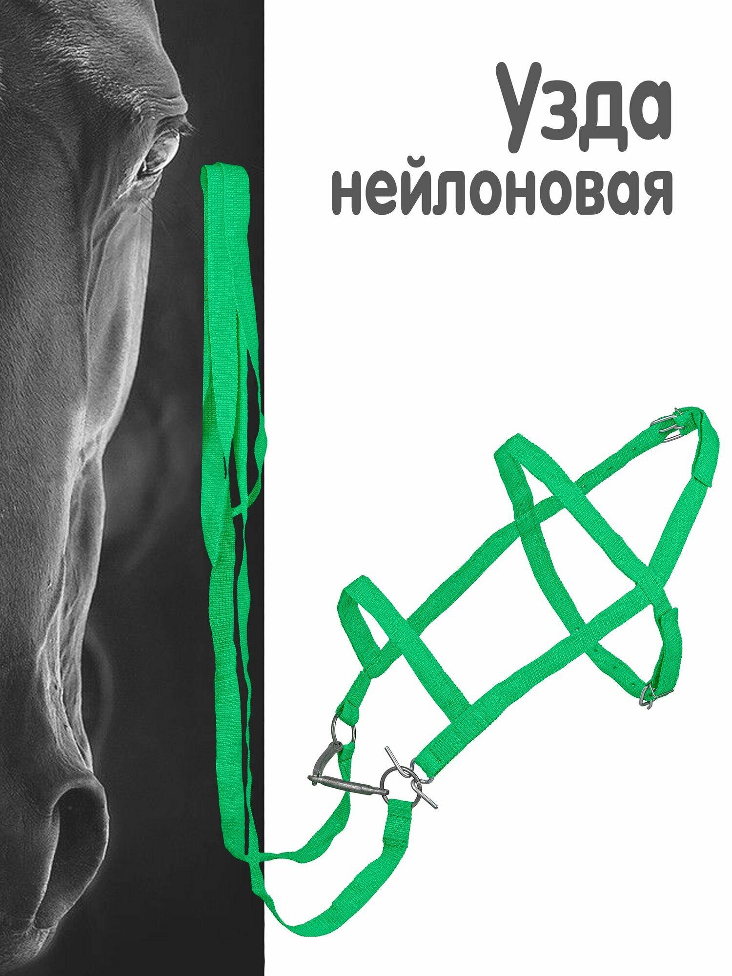 REITER Узда для лошади нейлоновая 25 мм