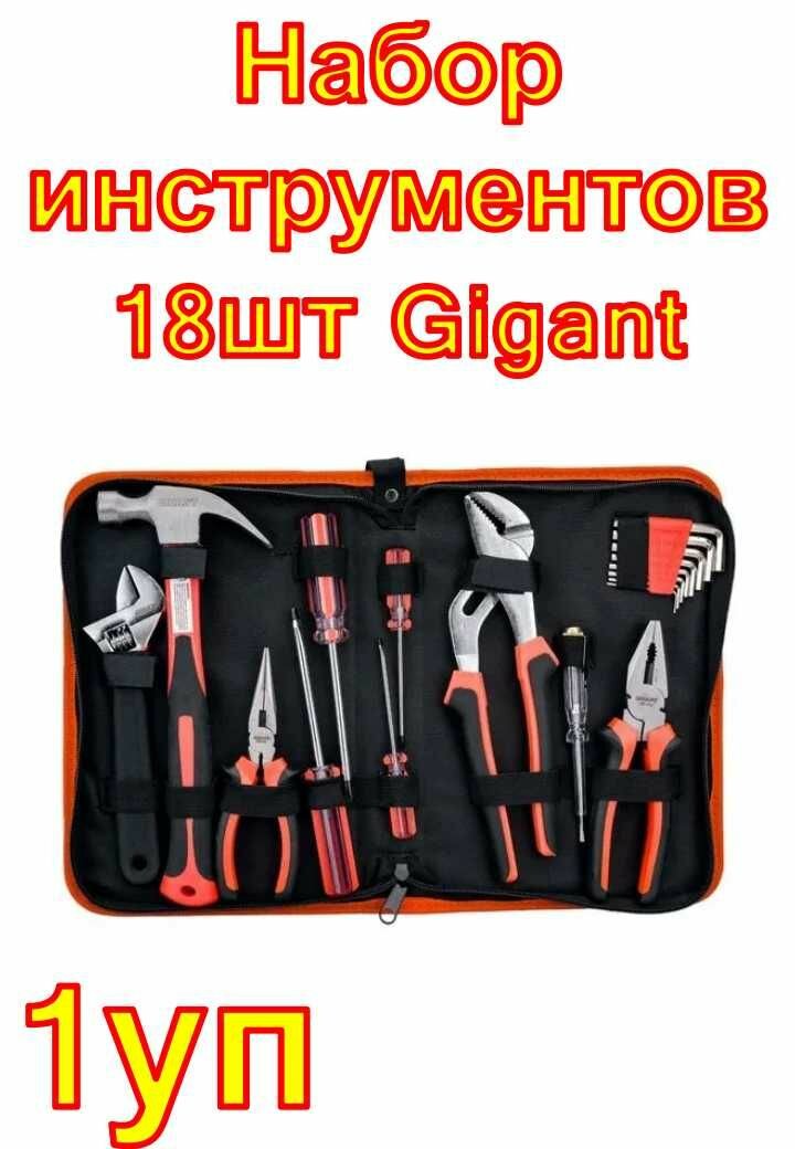 Набор инструментов 18шт Gigant