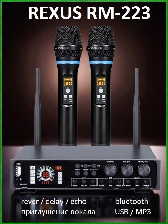 REXUS RM-223 - универсальная вокальная радиосистема, Optical In/Out, AUX In/Out, Bluetooth, сквозные каналы