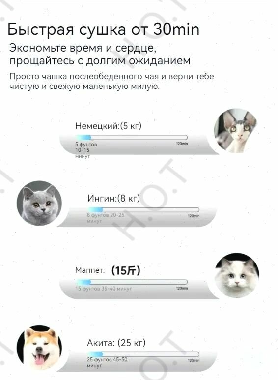 Сушильная камера для груминга — фото 1