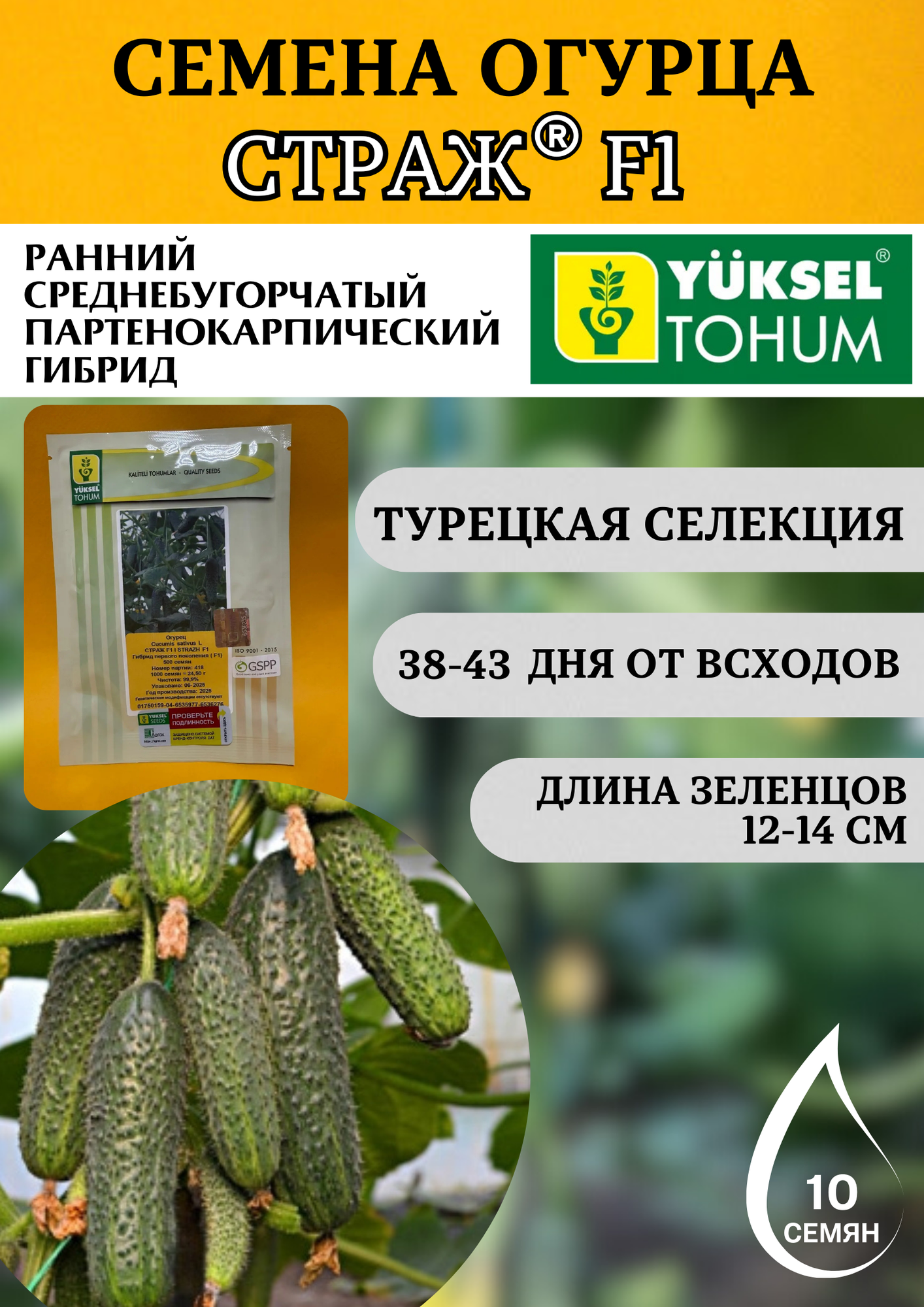 Семена огурца Страж F1 10 штук Yuksel Tohum партенокарпический гибрид