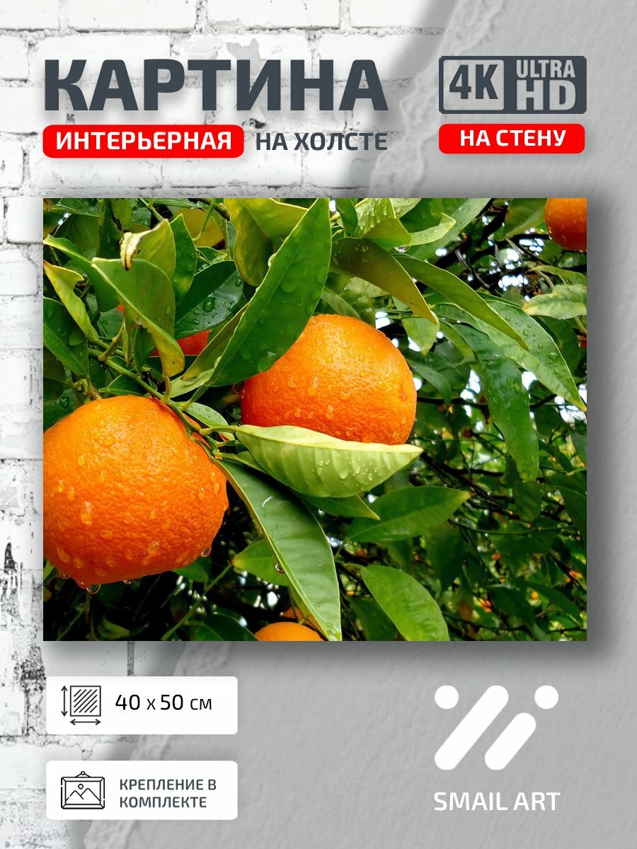 Картина на холсте интерьерная 40 на 50 на стену Ветке Landscape для спальни пейзаж интерьер