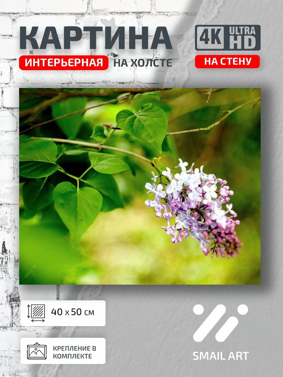 Картина на холсте интерьерная 40 на 50 на стену Сирень Landscape для спальни пейзаж декор