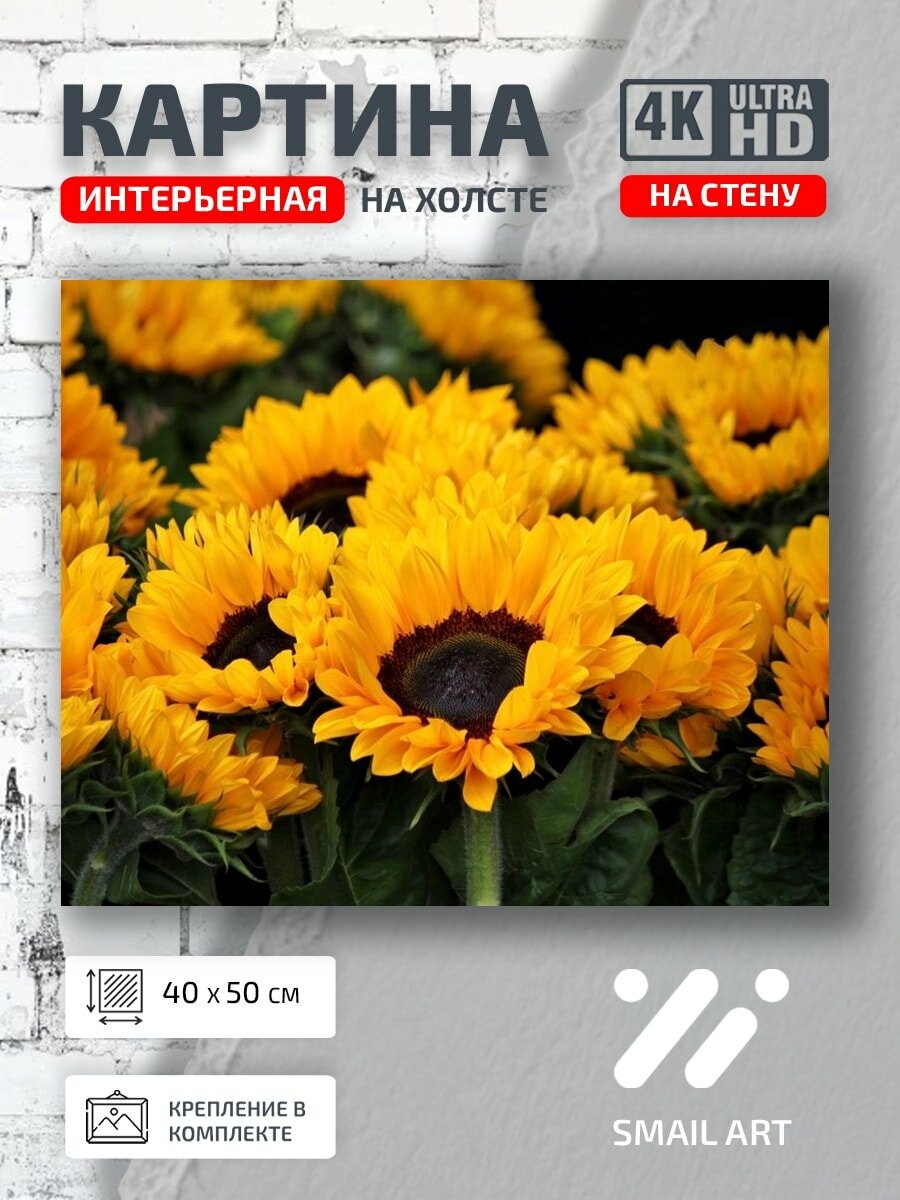 Картина на холсте интерьерная 40 на 50 на стену Весенние подсолнухи для спальни атмосфера