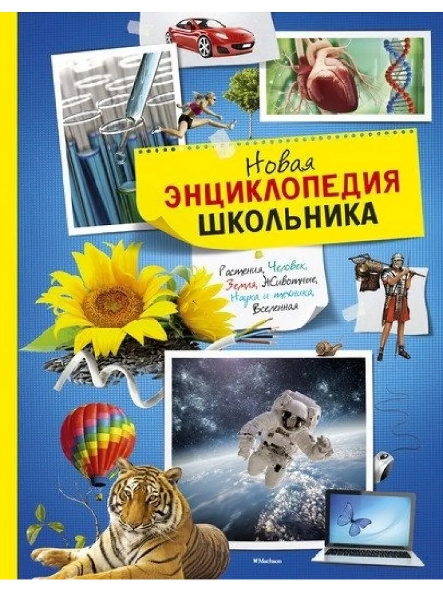 Новая энциклопедия школьника (нов. обл.)