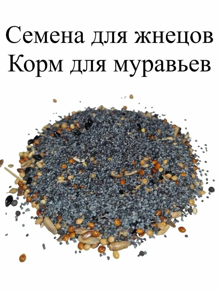 Корм для муравьев Семена для жнецов