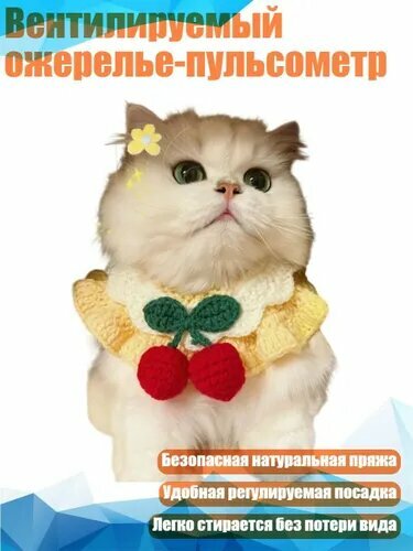 Вентилируемый ожерелье-пульсометр, - 5