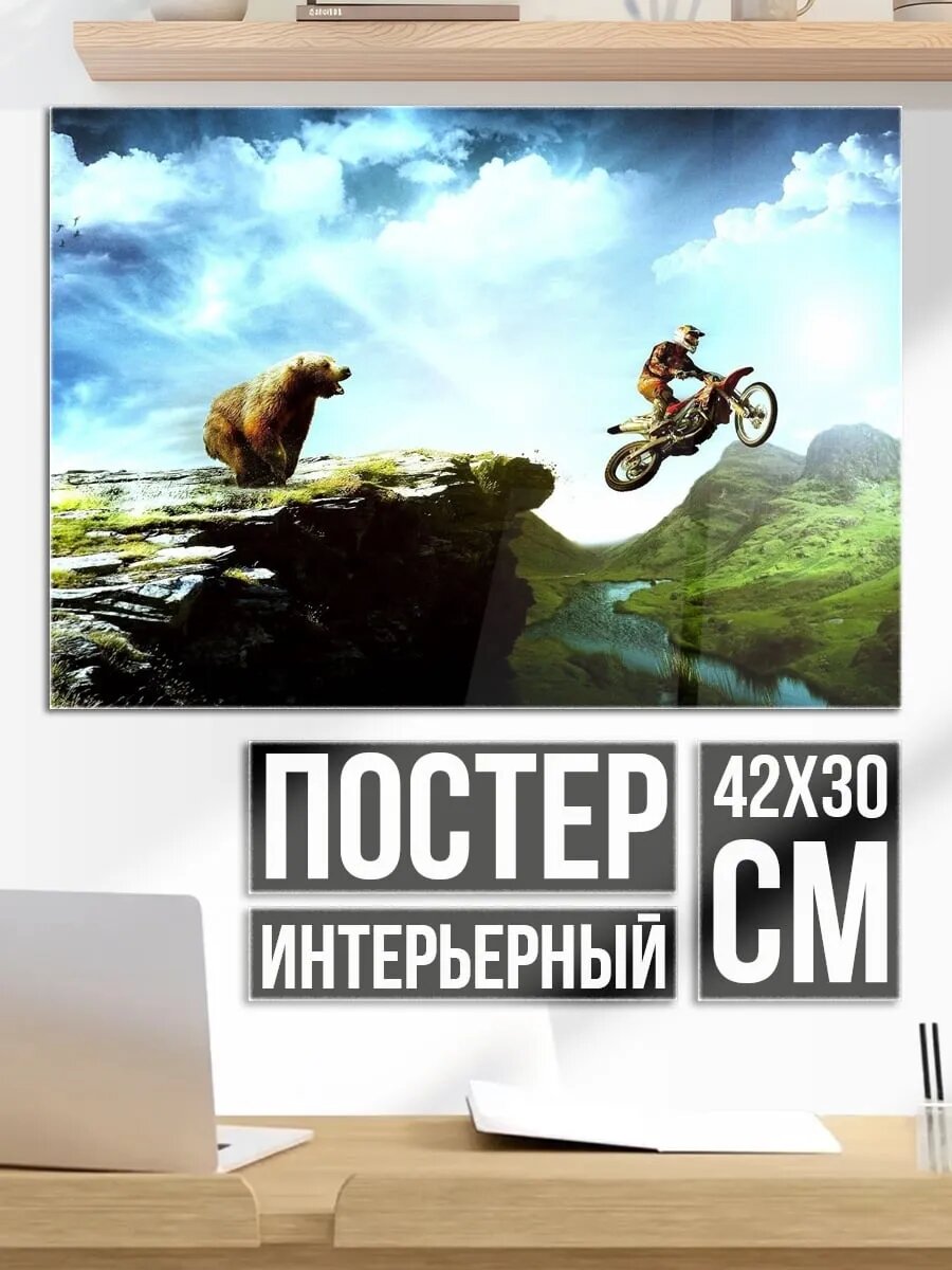Плакат постер Мотоцикл против медведя