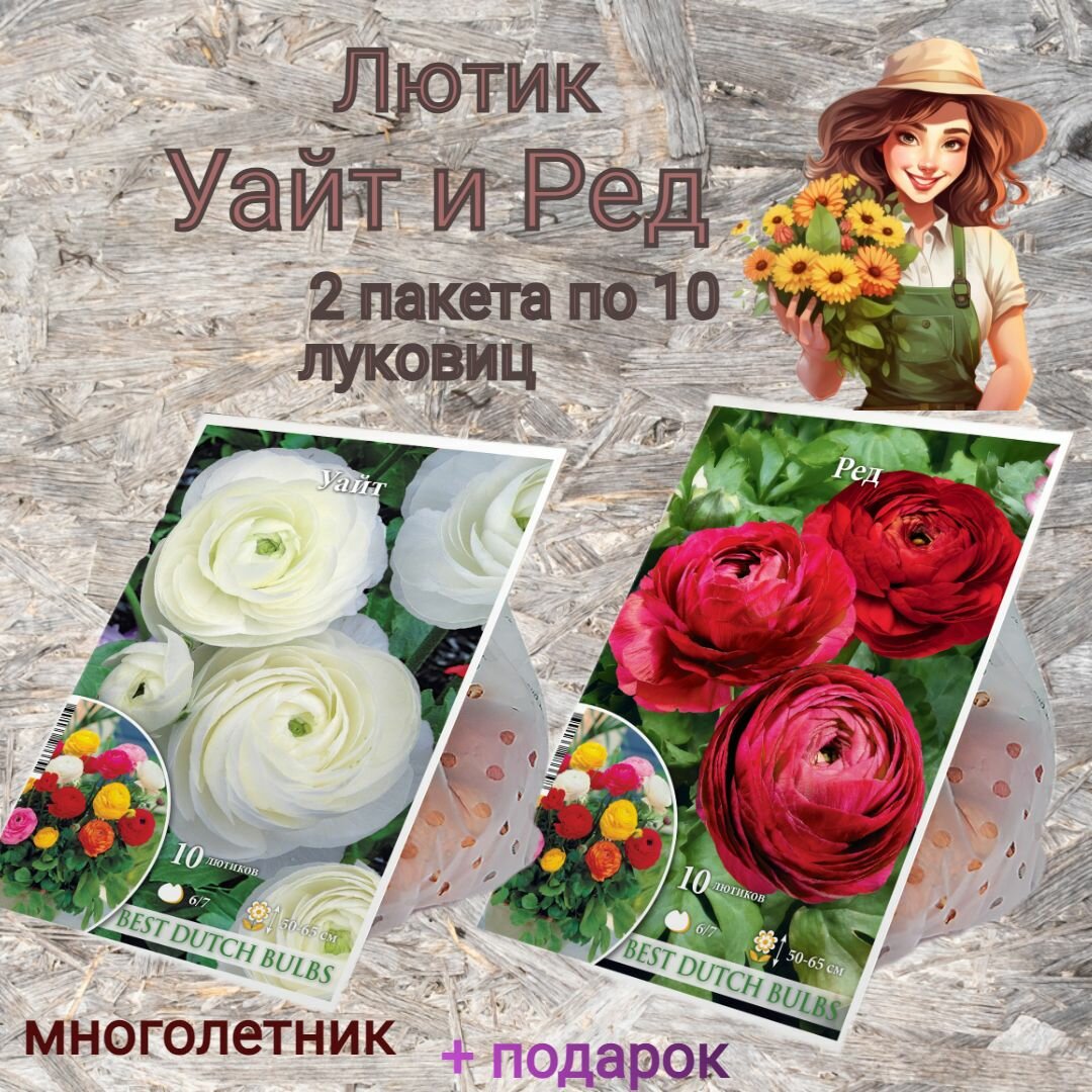 Лютик Уайт и Рэд 2 пакета по 10 луковиц