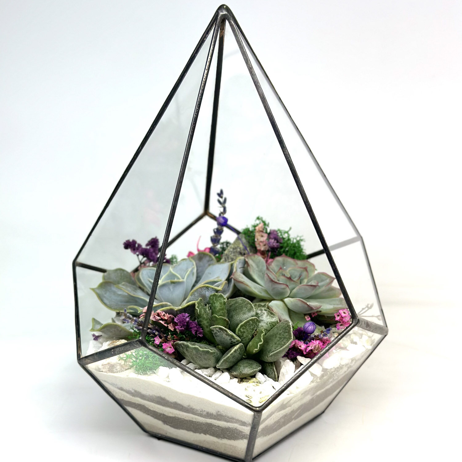 Флорариум с суккулентами "Бархатная нежность" Капля 16х24см