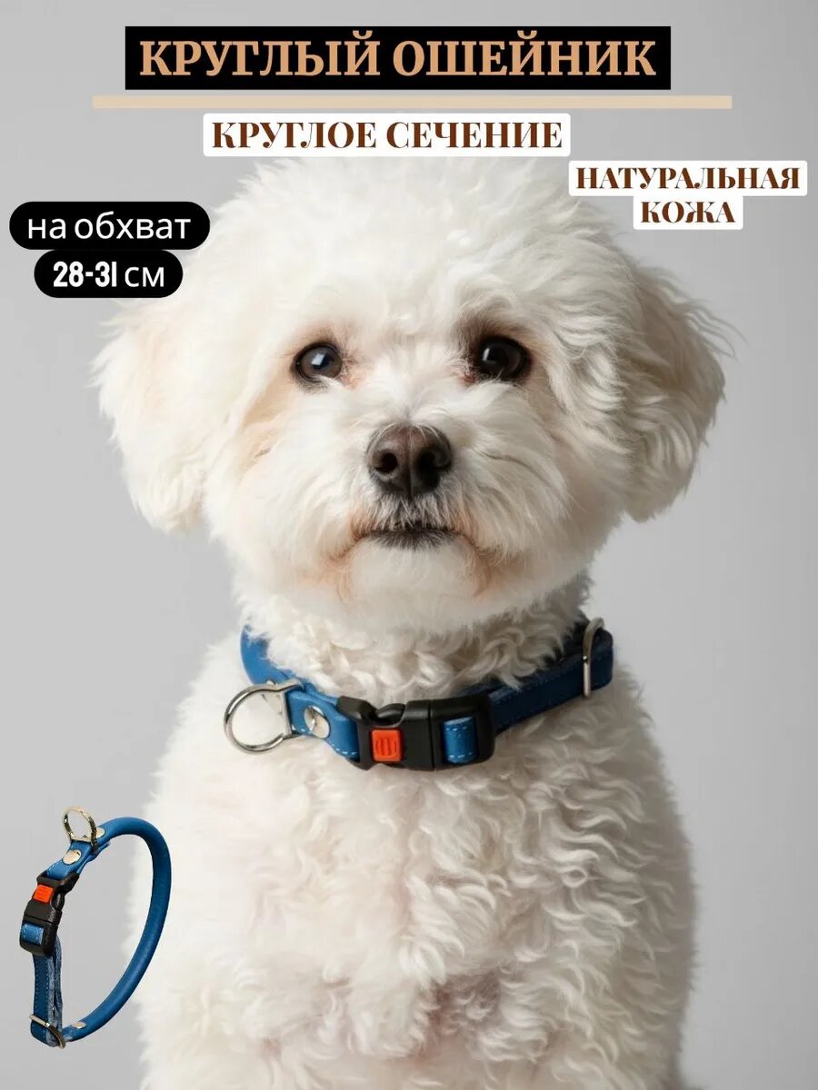 Dogbond Ошейник для шпица круглый кожаный 28-31 см
