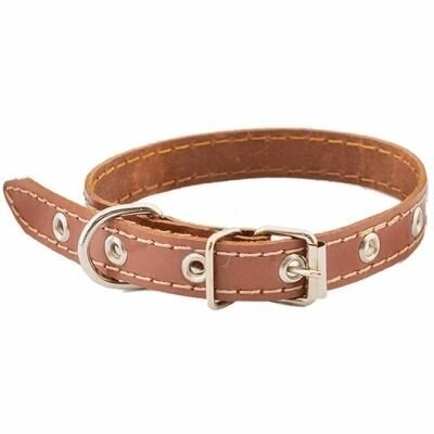 HOMEPET ошейник для собак Простой, простроченный, кожаный, коричневый, 28-38 см