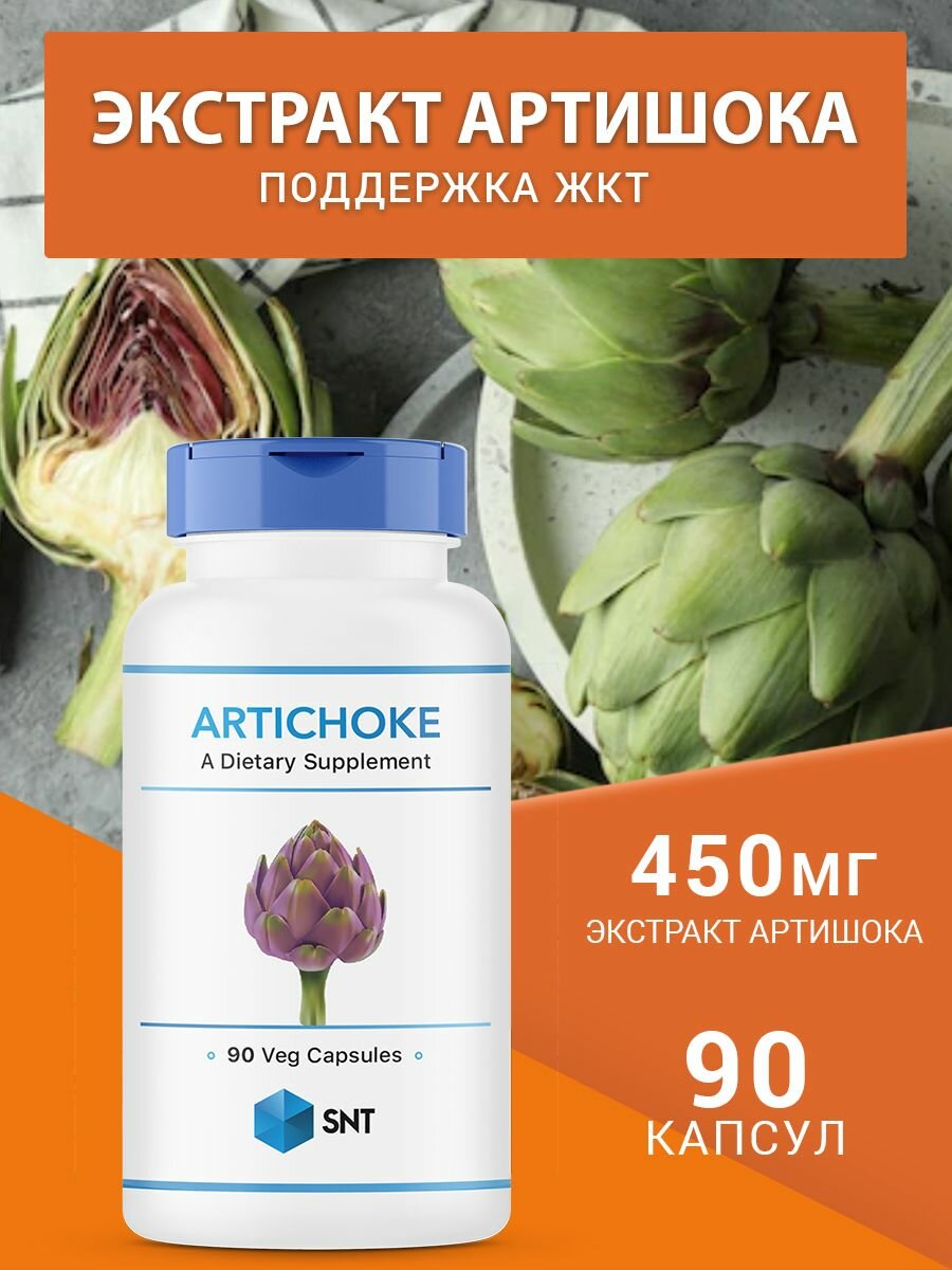 SNT Экстракт артишока Artichoke extract 450 мг 90 капсул