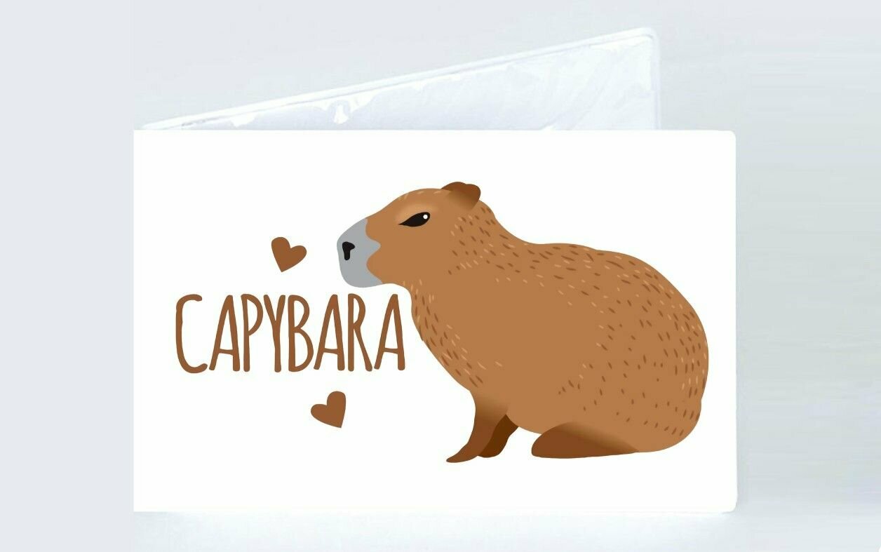 Визитница