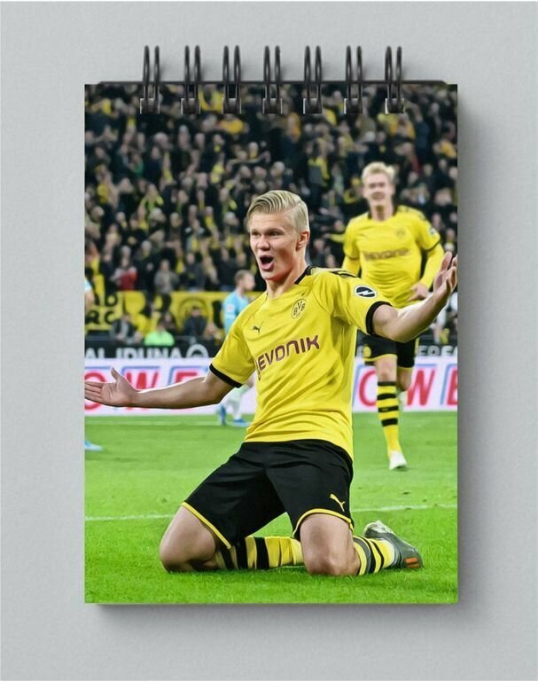 Блокнот Эрлинг Холанн, Erling Haaland №2