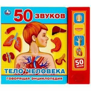 Музыкальная книга Тело человека, 5 кнопок 50 звуков
