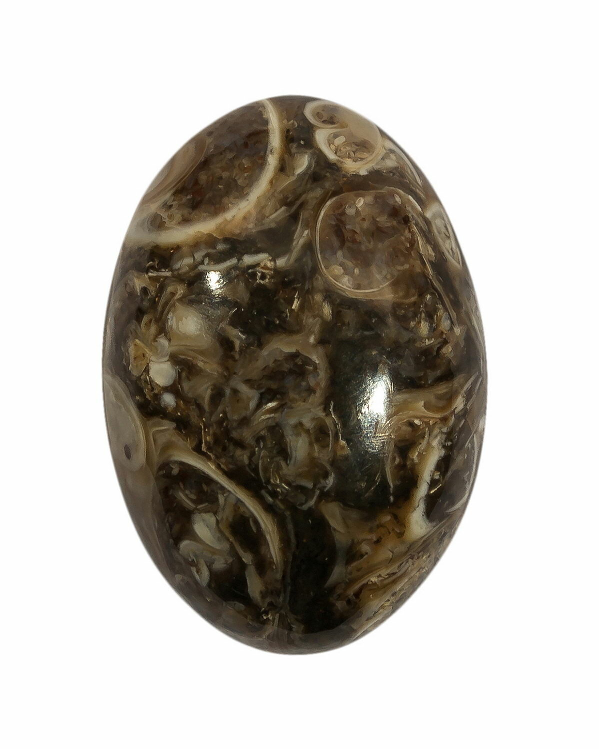 Кабошон агат турителла 21х14х6 мм.