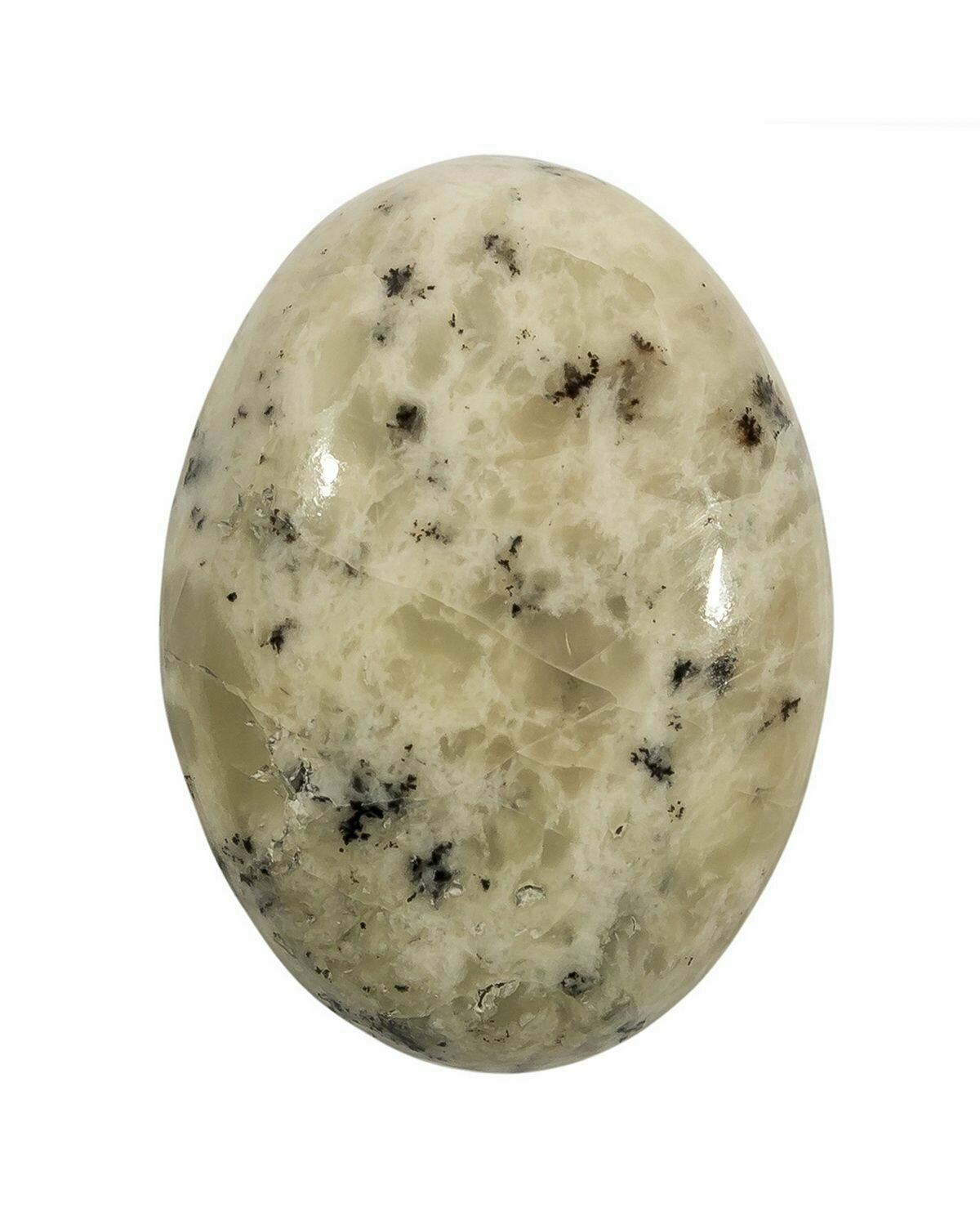 Кабошон из дендритового опала размером 26х19х6 мм.