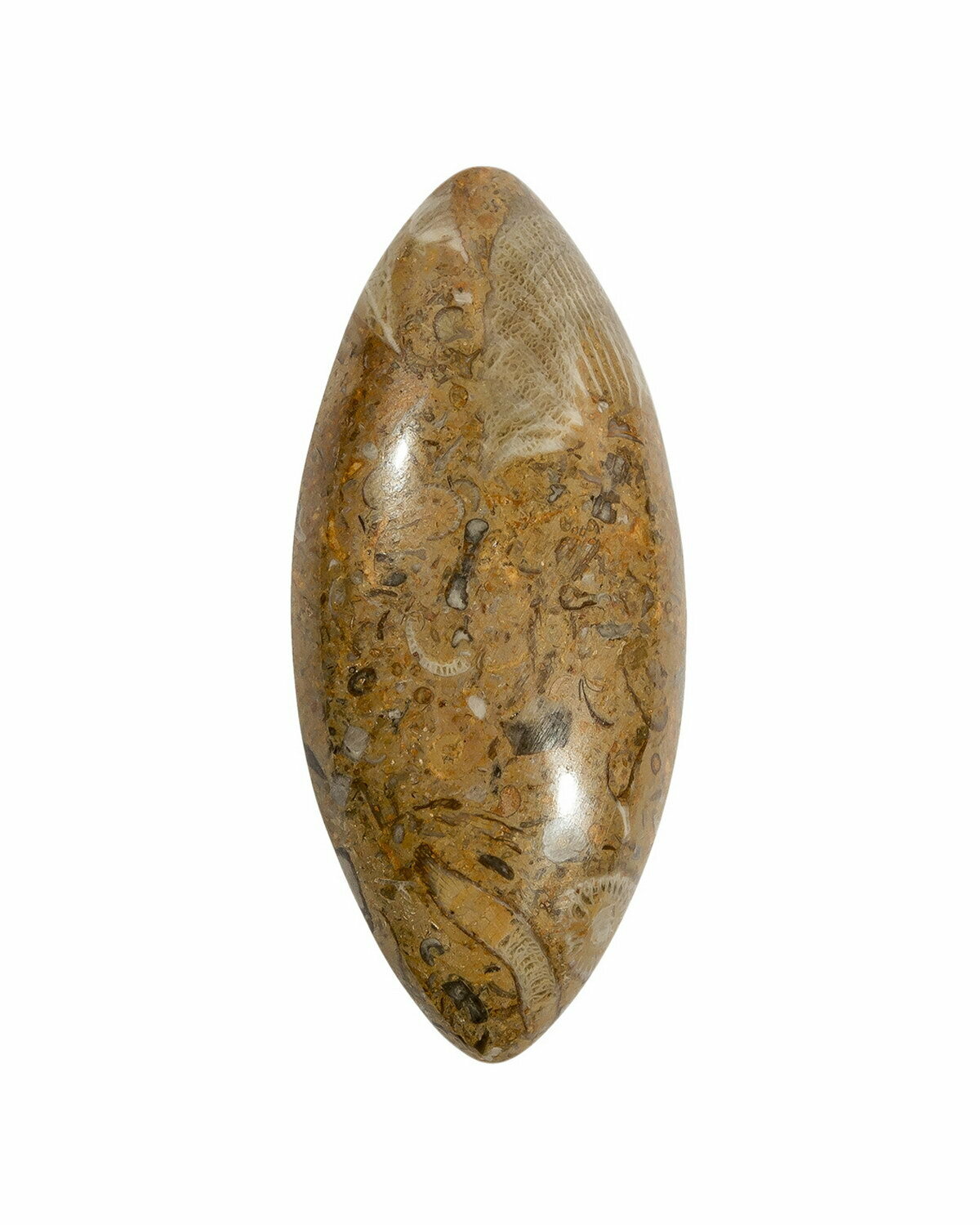 Кабошон из коралла, размер 55х27х7 мм, вес 15 грамм