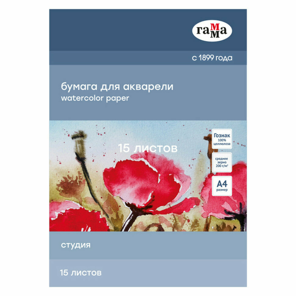 Папка для акварели, 15л, А4, Гамма "Студия", 200г/м2, среднее зерно, 346937