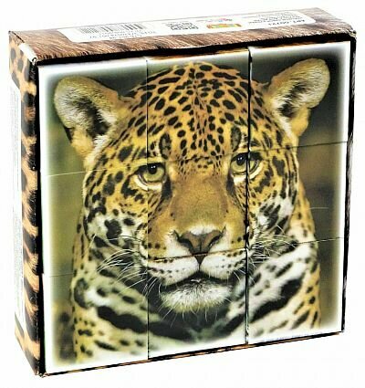 Кубики-пазлы Дикие кошки