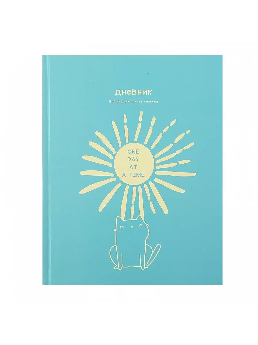 Школьный дневник BG, для девочек, 1-11 классы, твердый картон, 28 шт