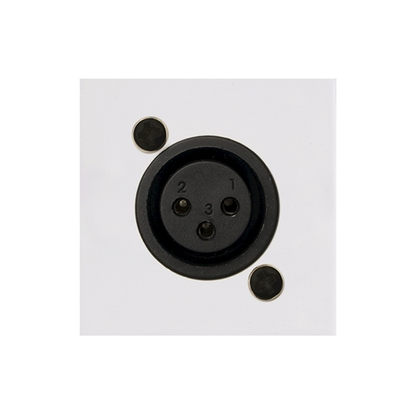 Audac CP45XLFS/W- Модуль настенной панели с разъемом XLR (розетка) – Phoenix, белый