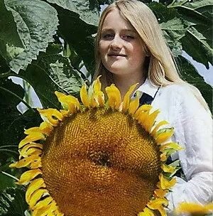 Семена Подсолнечника "Щелкунчик"