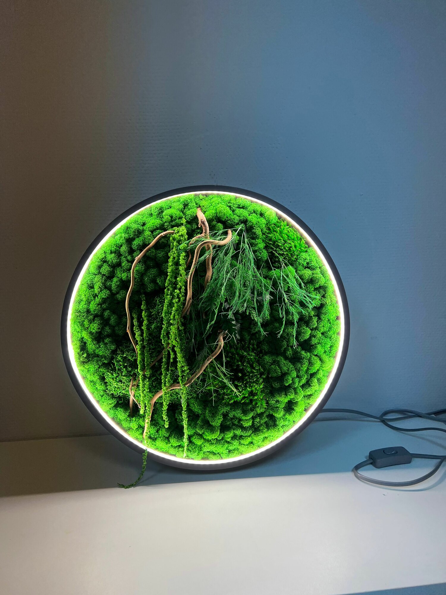 Панно Круг 40 см со мхом и растениями MyMossLife, стабилизированный мох