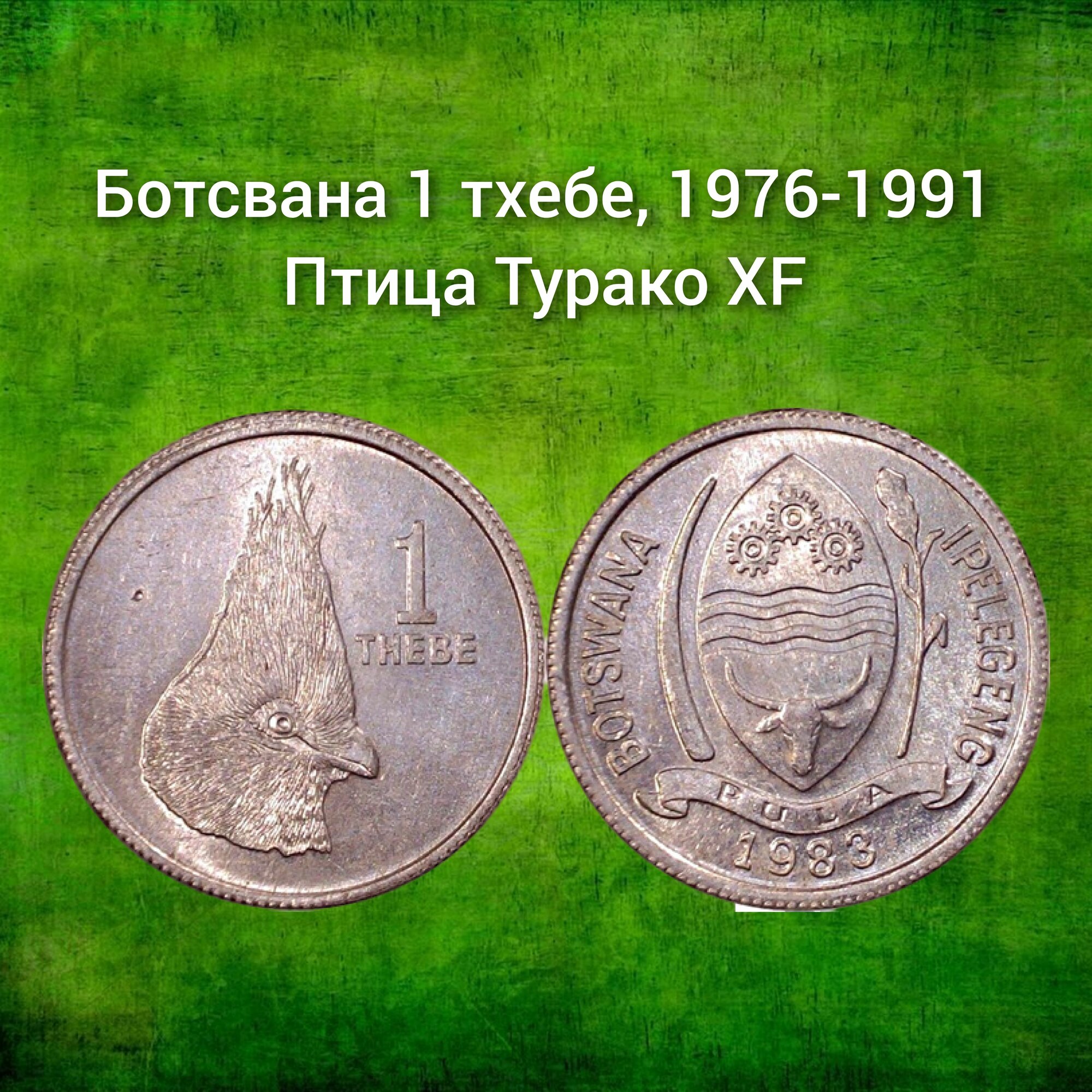 Ботсвана 1 тхебе, 1976-1991 Птица Турако XF