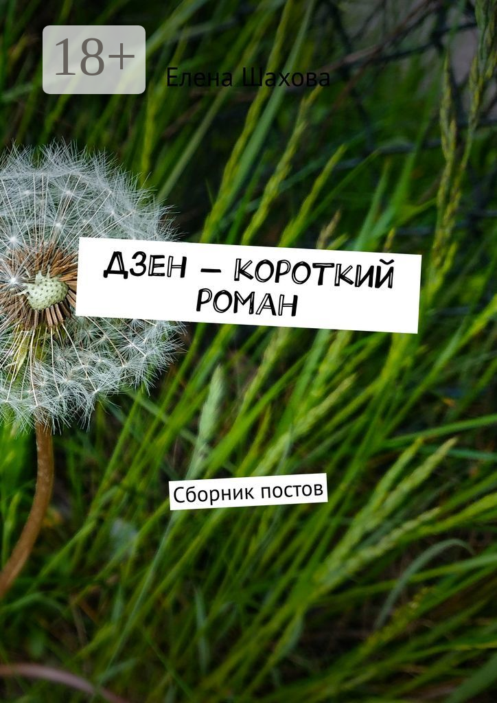 Дзен — короткий роман