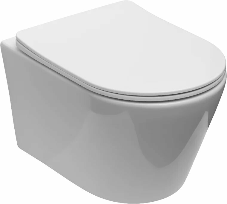 Унитаз подвесной Aquanet Logan Tornado 340298 с микролифтом, безободковый, без бачка, фаянсовый, белый, глянцевый, овальный, сиденье для унитаза в комплекте