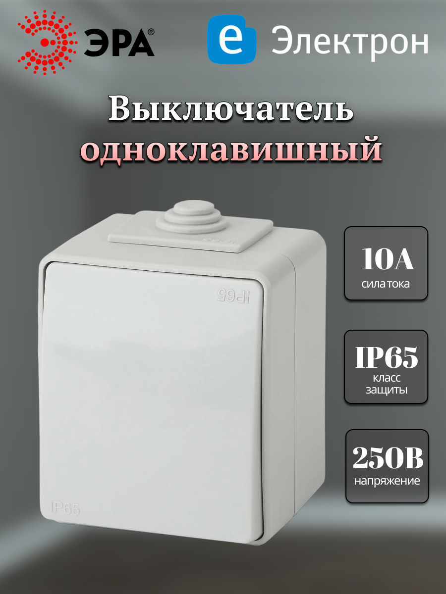 Выключатель ЭРА "Эксперт", одноклавишный, для открытой проводки, IP65, серый