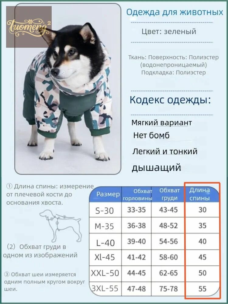Одежда для животных — фото 1