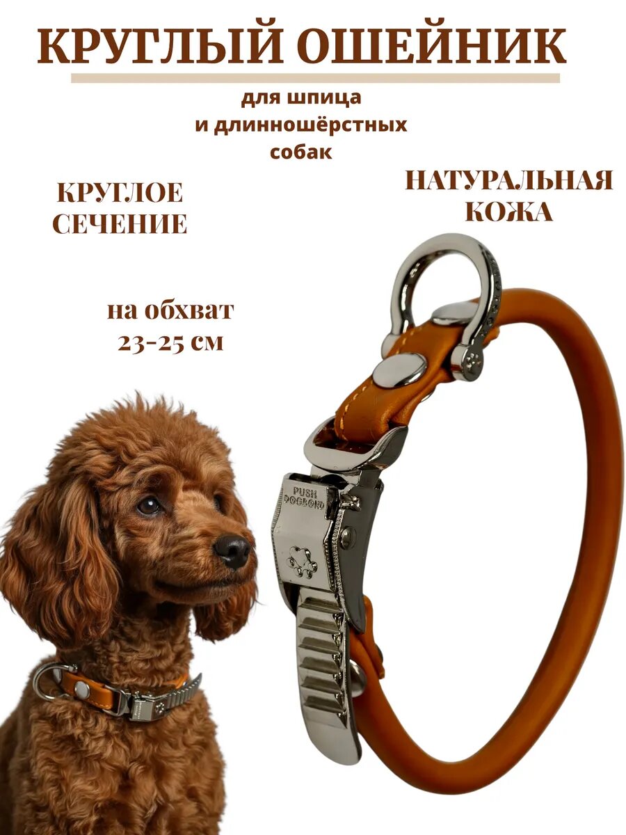 Ошейник Dogbond круглый для шпица и длинношерстных пород