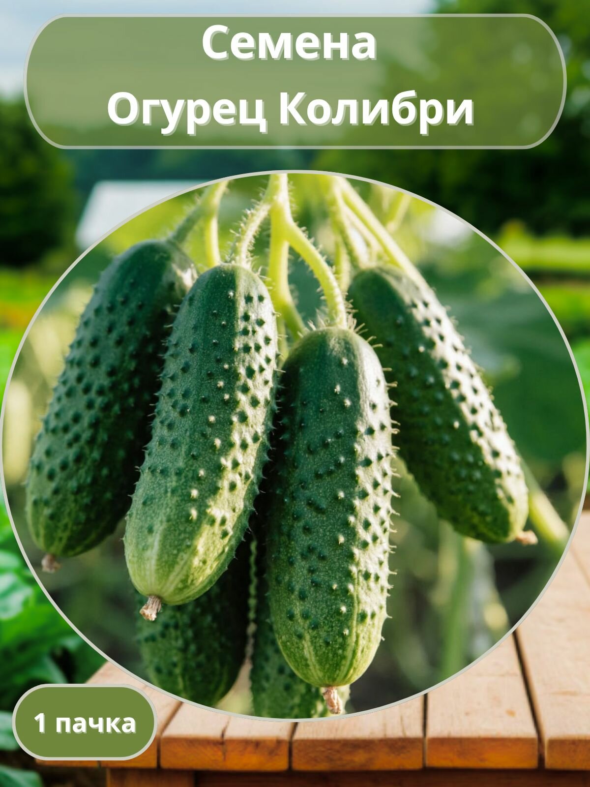 Огурец Колибри, семена 10 шт